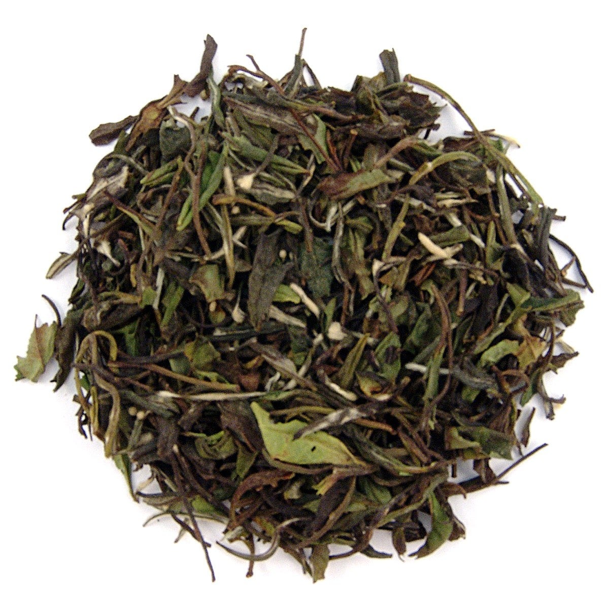 white tea leaf